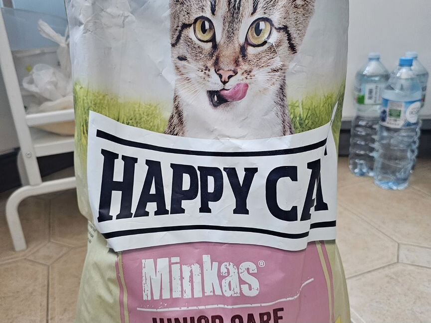 Сухой корм для котят