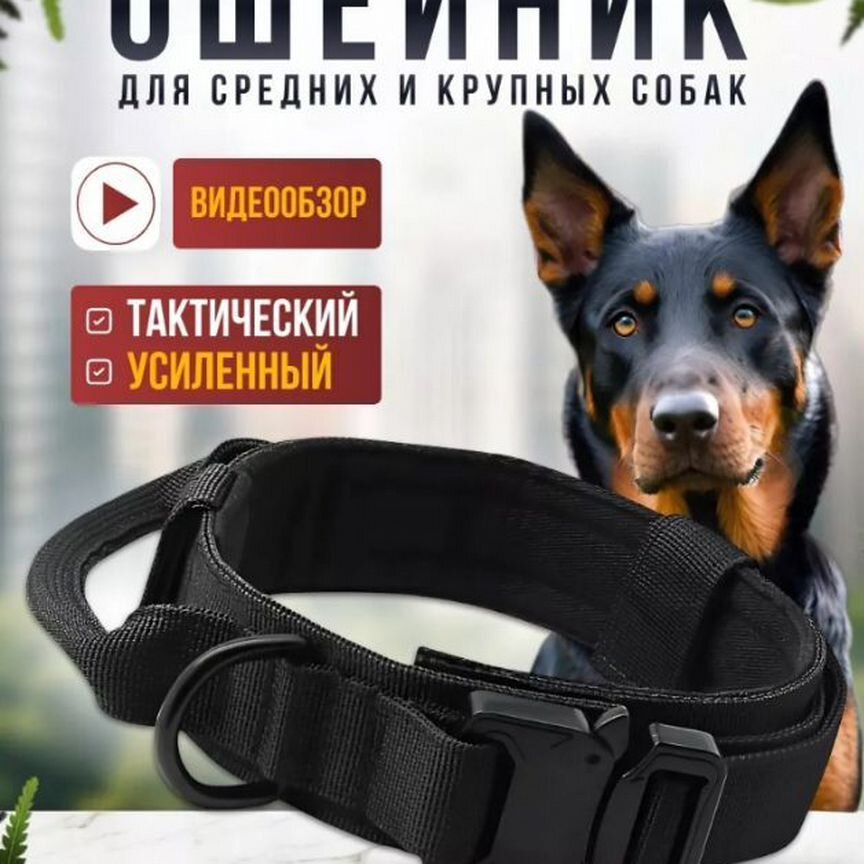 Ошейник тактический