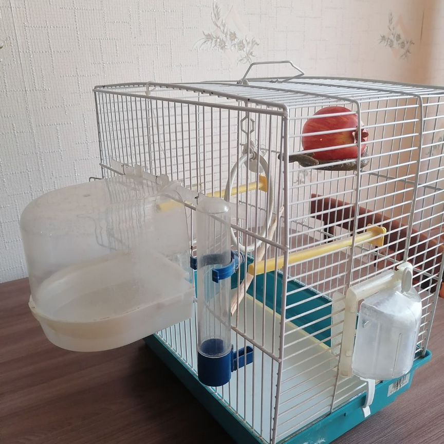 Клетка для попугая