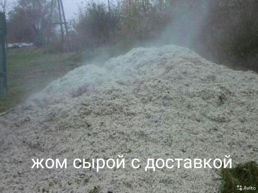 Жом свекловичный сырой