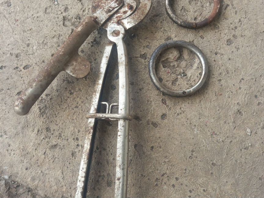 Кольцо для быка + инструмент