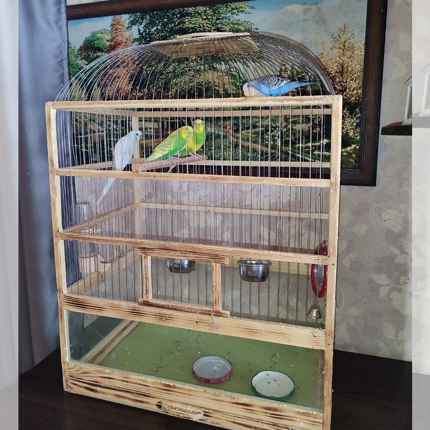 Волнистый попугай с клеткой