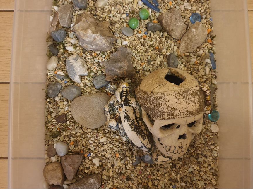 Грунт для аквариума плюс череп