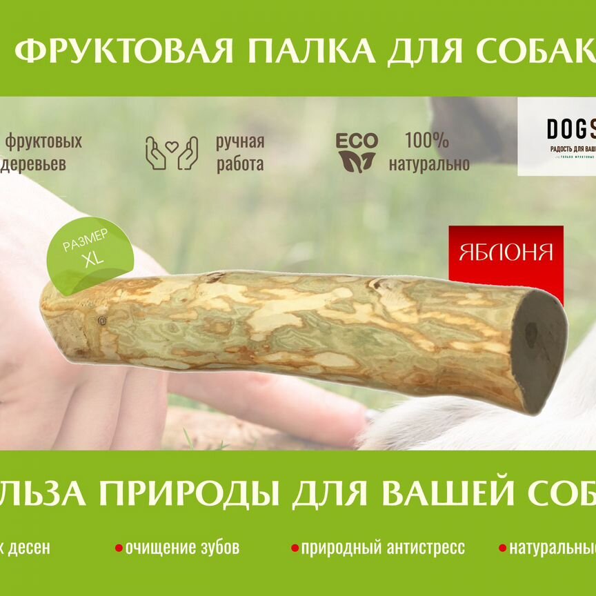 Фруктовые палки для собак