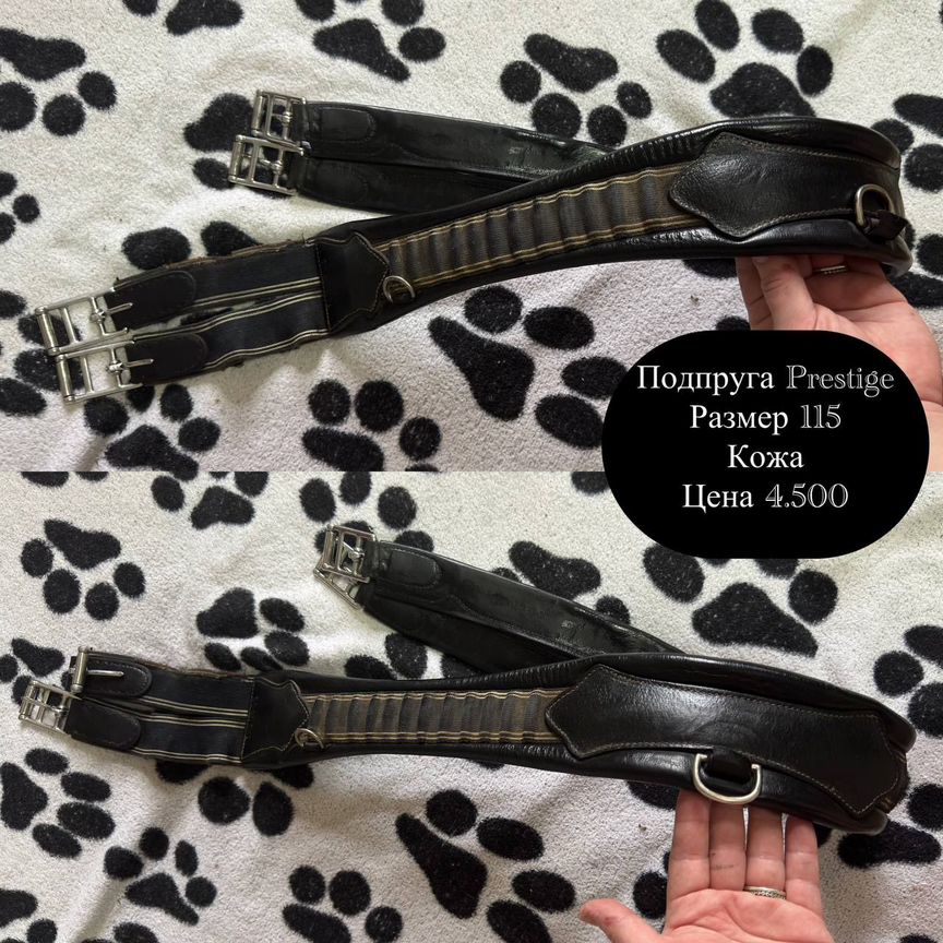 Подпруга кожаная Prestige 115см