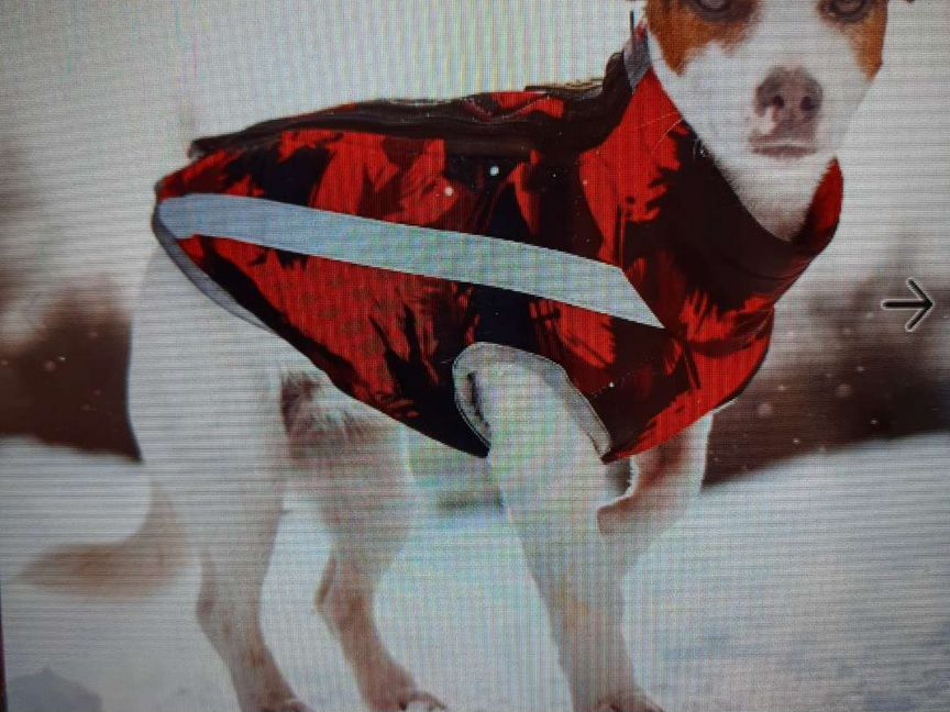 Adidog/комбинезон для собак