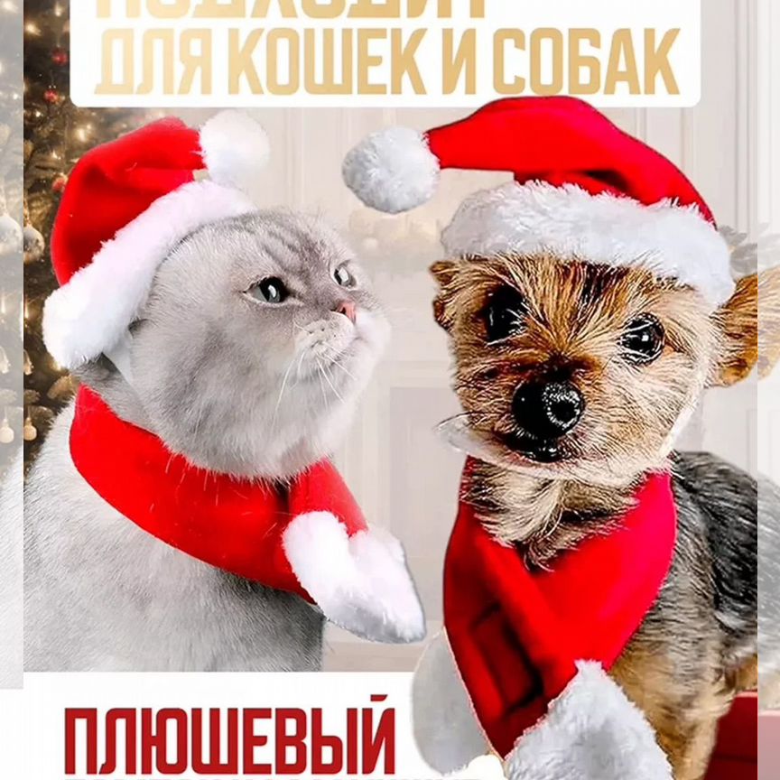 Новогодняя шапка и шарф для кошек и собак