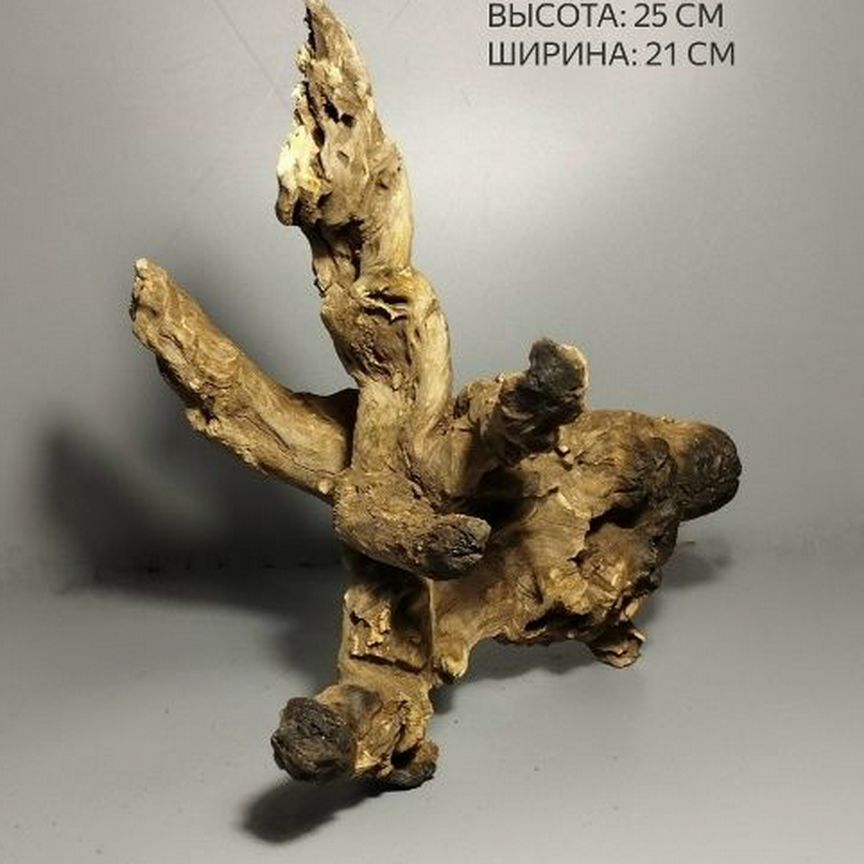 Коряга мангровая для аквариума или террариума вк55