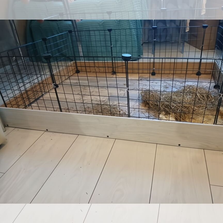 Загон для грызунов