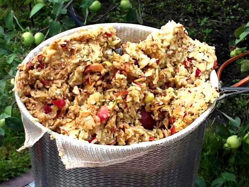 Яблочный жом, жмых, мезга