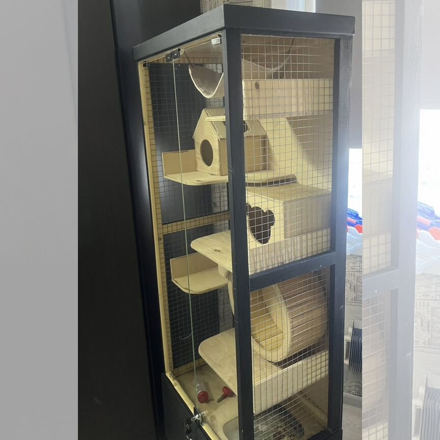 Витрина для шиншилл