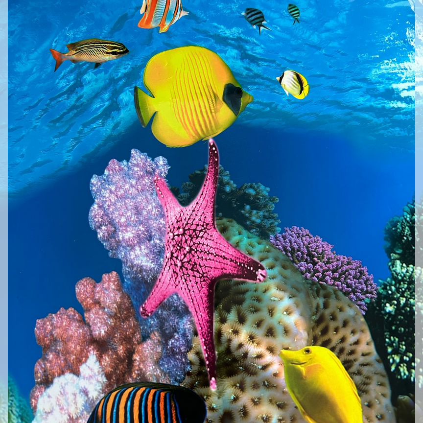 3D наклейка в аквариум