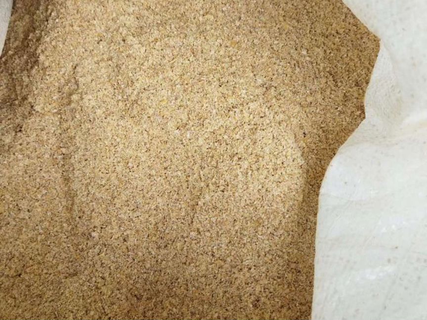 Пшеница. Ячмень