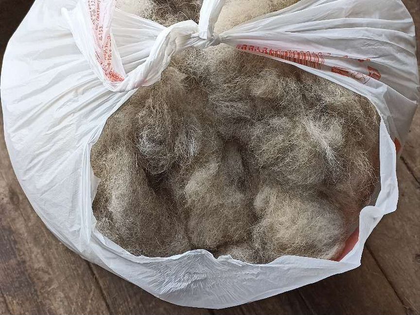 Шерсть кавказской овчарки