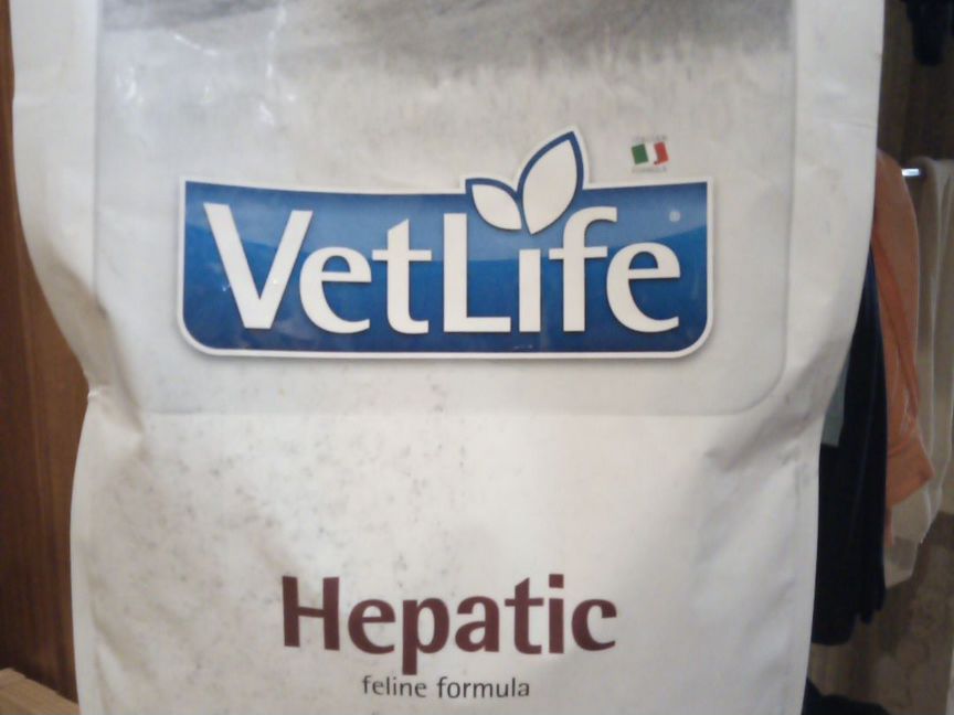 Корм для кошек