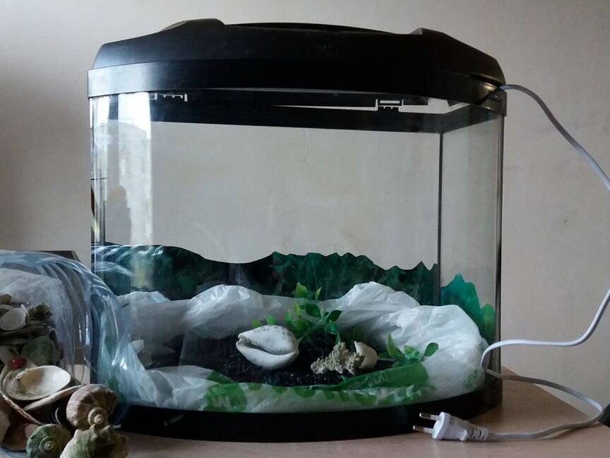Аквариум 25 - 30 литров с крышкой и лампой