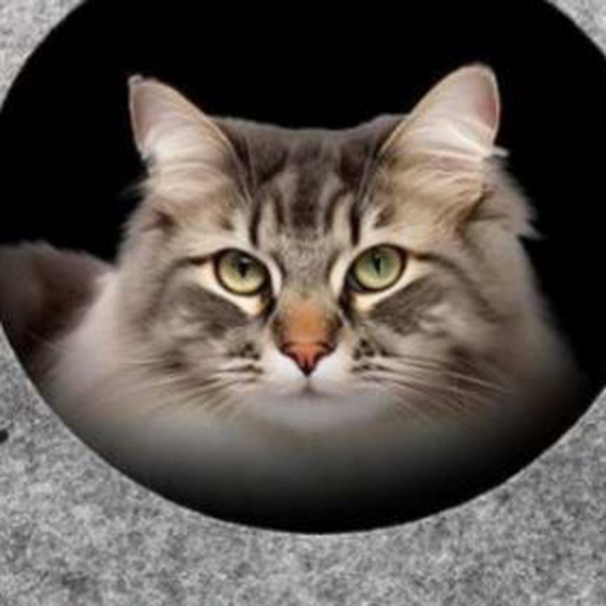 Домик лежанка для кошки