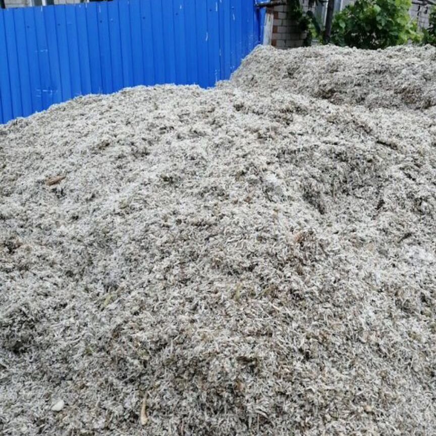Жом свекольный сырой