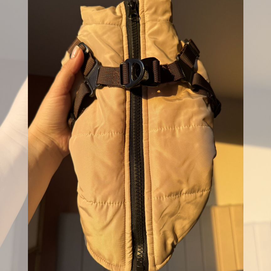 Жилетка для маленькой собаки