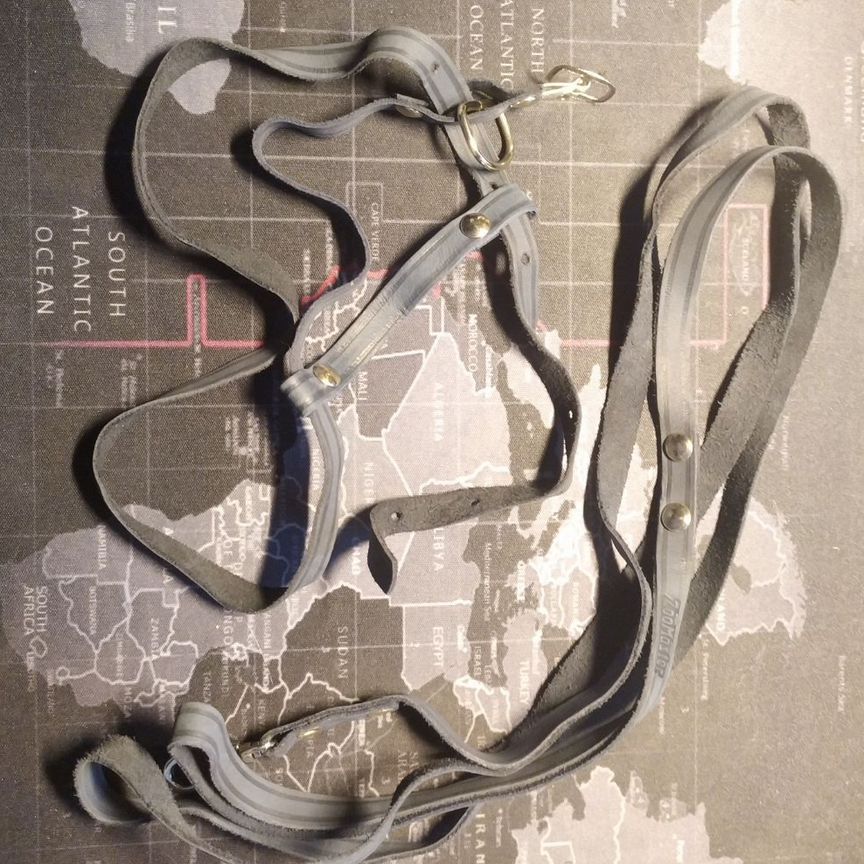 Шлейка для кошки или маленькой собачки