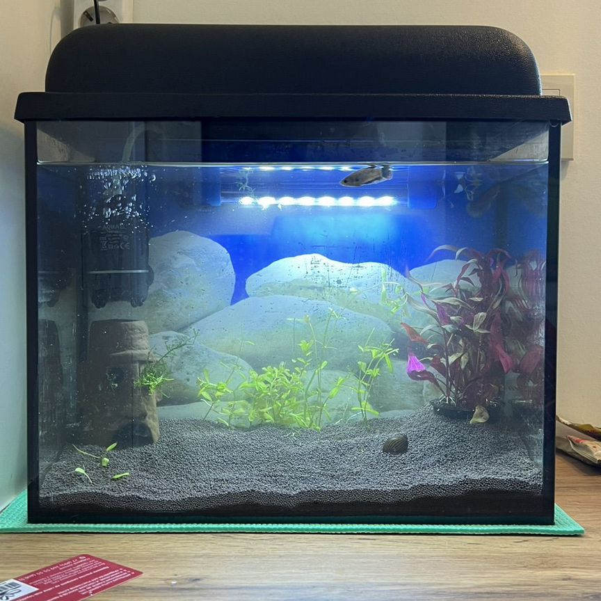 Аквариум 20 литров с фильтром и грунтом