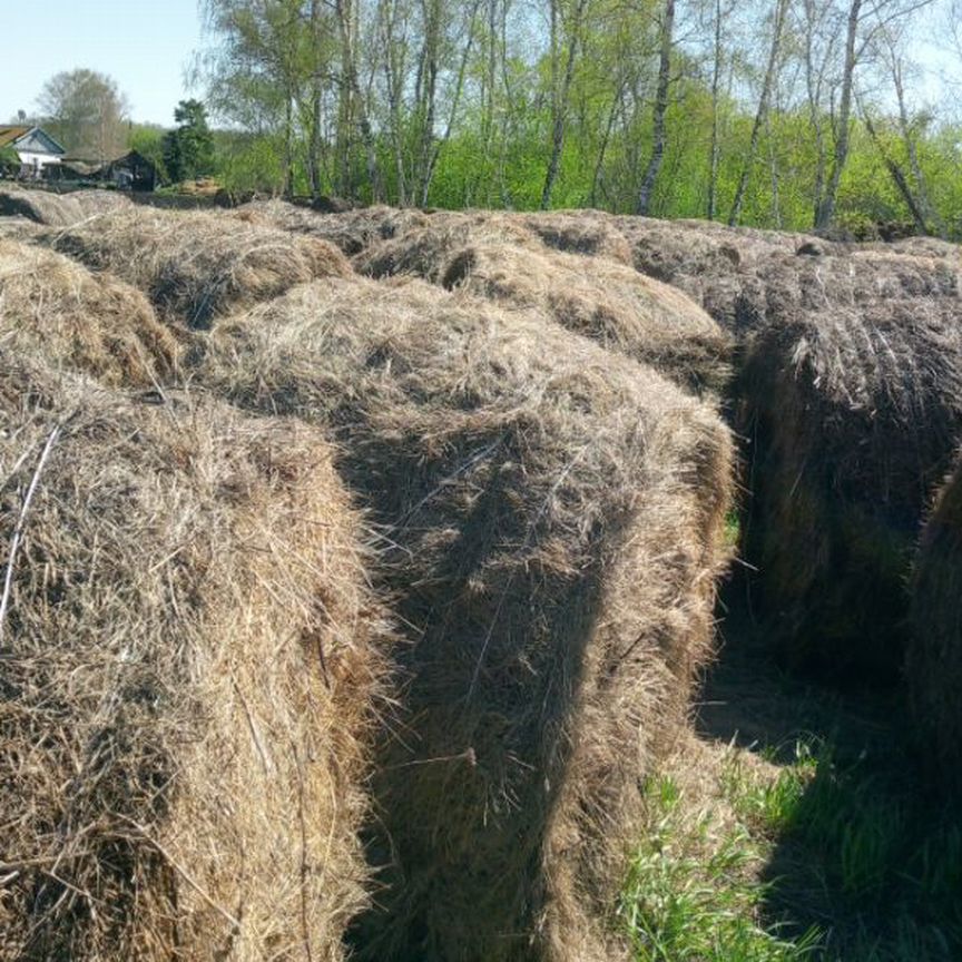 Сено разнотравие в рулонах 300–360 кг Оптом