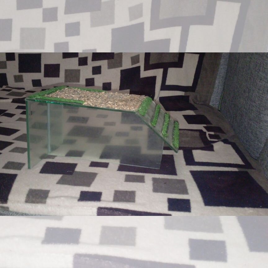 Мостик для черепахи