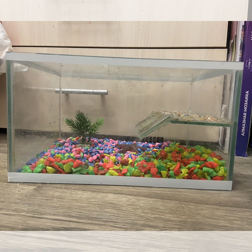 Аквариум для черепах