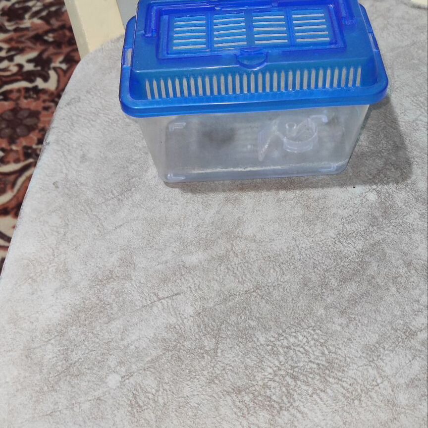 Аквариум для черепашки