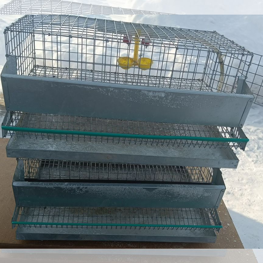 Клетка для перепелов бу 2я на 30перепелов