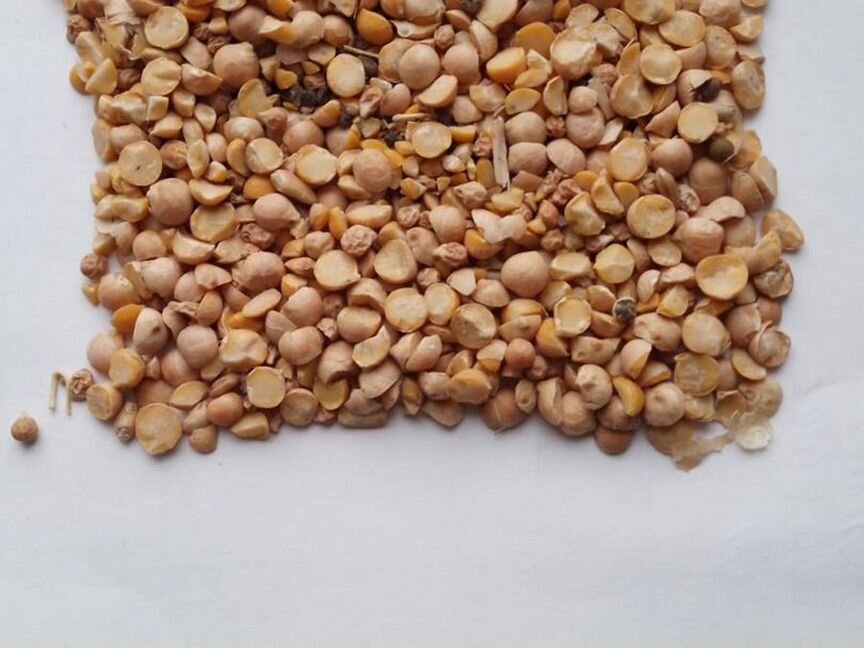 Нут половинки