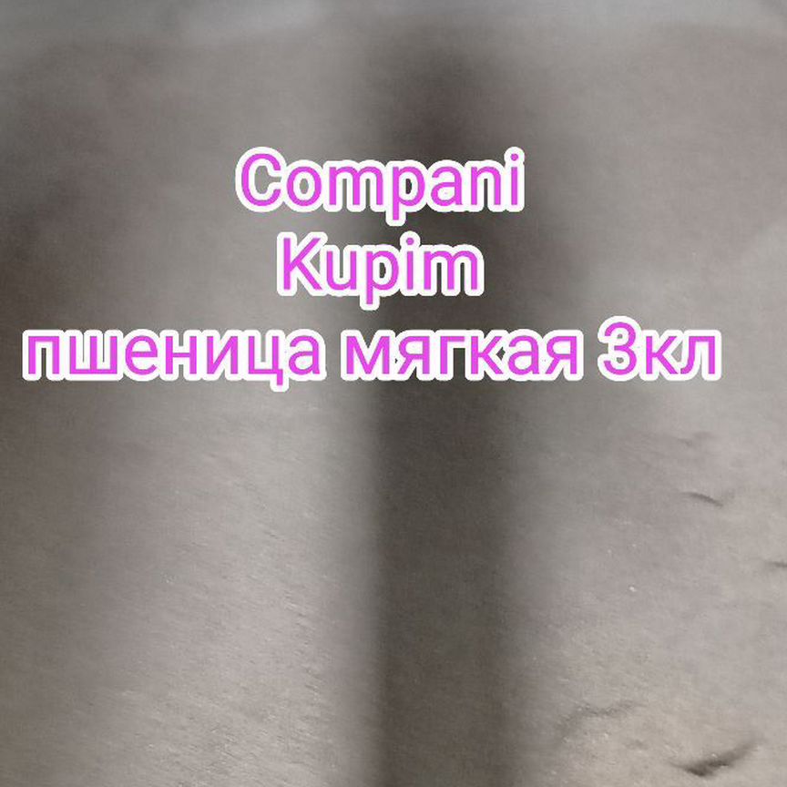 Пшеница мягкая 3кл