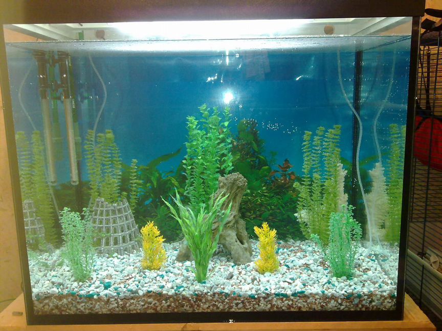 Аквариум 470 литров