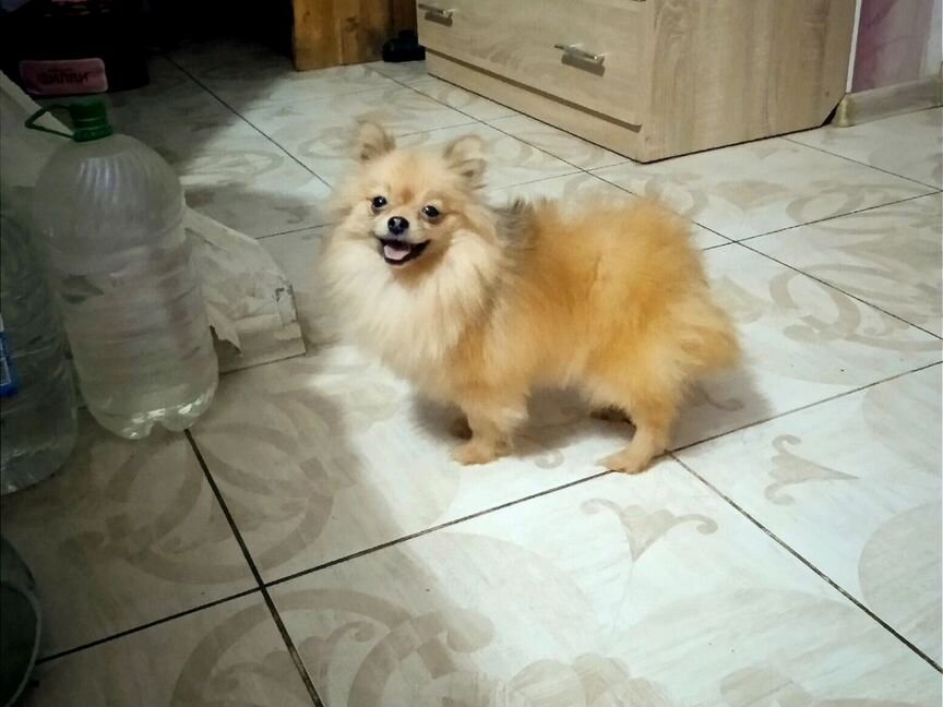 Мини девочка