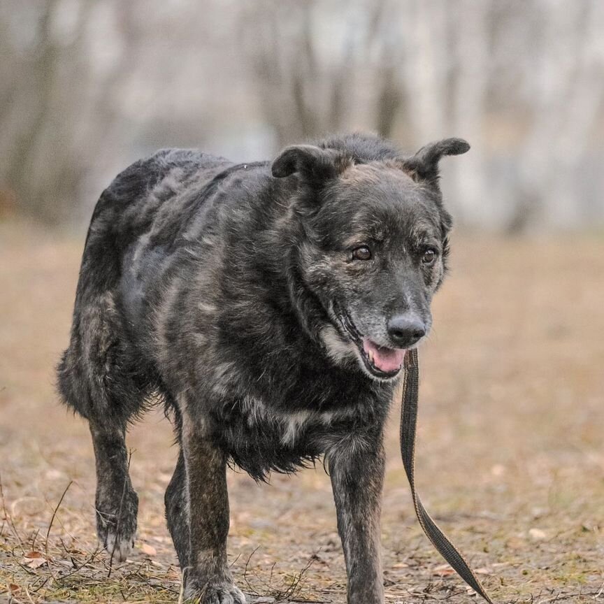 Старики из приюта никому не нужны
