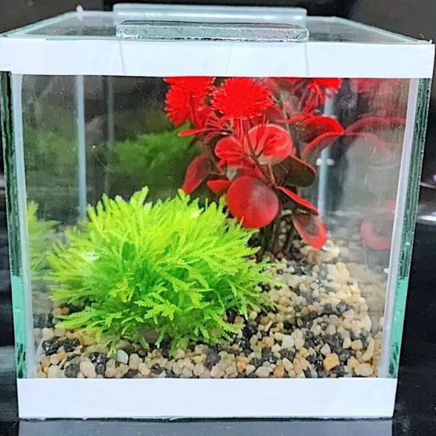 Аквариум 2 литра