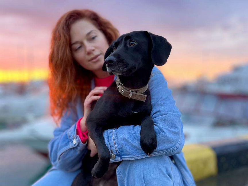 Маленькая квартирная собачка в добрые руки