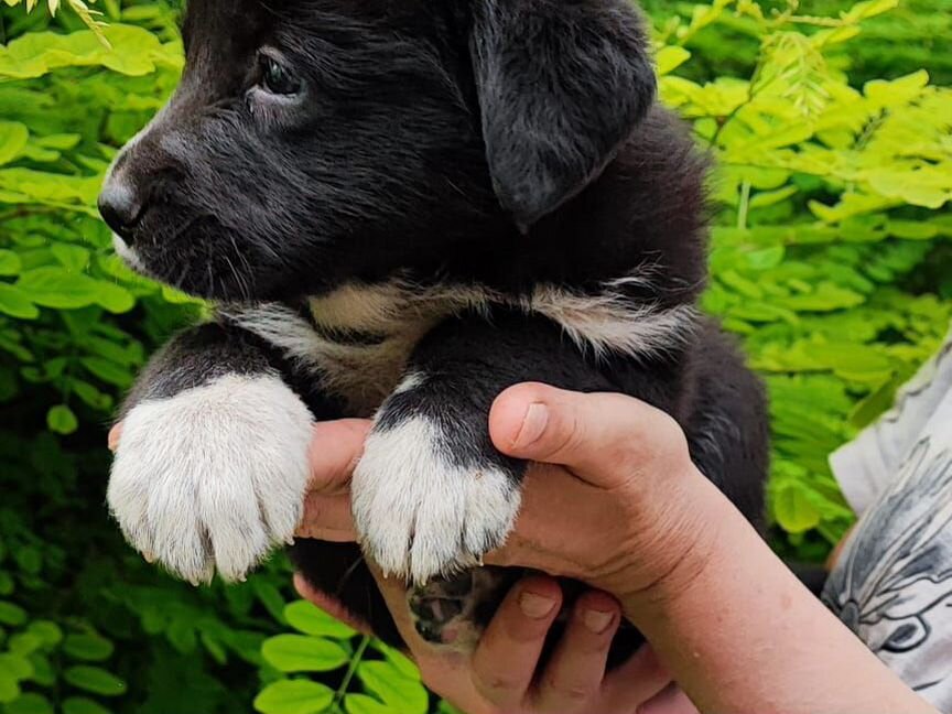 Я буду большая)