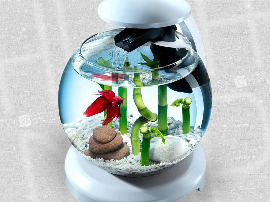 Комплект "Tetra Cascade Globe с Петушком"
