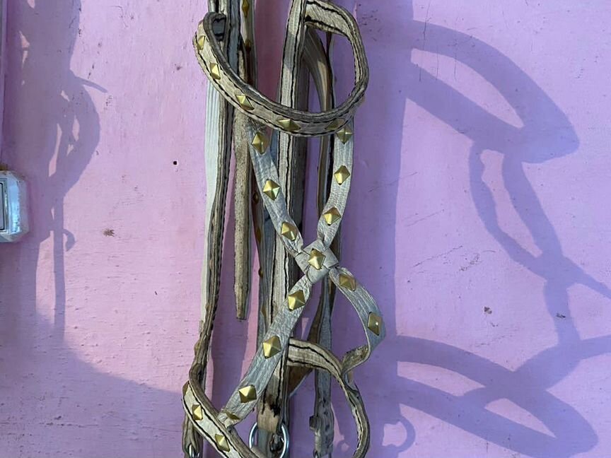 Узда для лошади