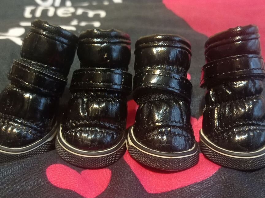 Обувь и одежда для собачки