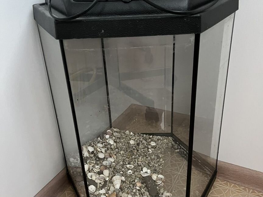 Аквариум Aquael 60л