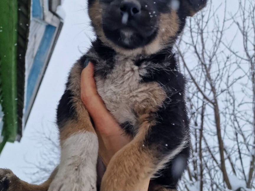 Малыши 1 мес. 2 недели (4 мал. 2 дев.)