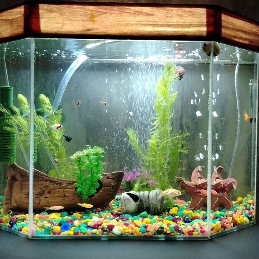 Аквариум