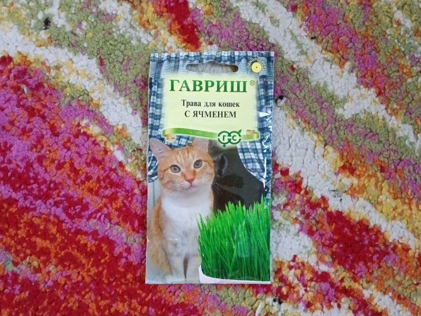 Продам траву для кошек с ячменем