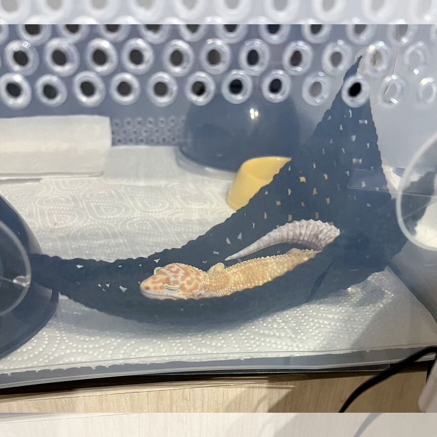 Большой гамак для рептилий и грызунов