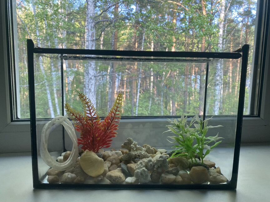 Аквариум 6л