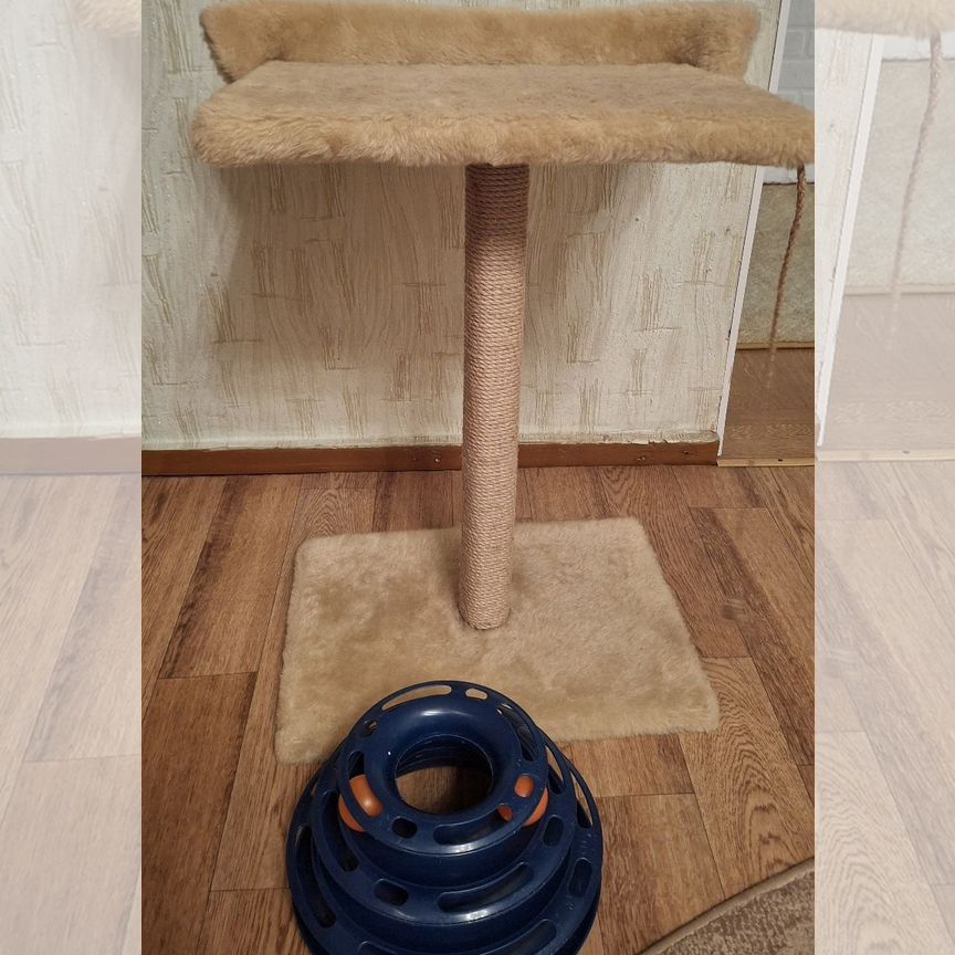 Когтеточка