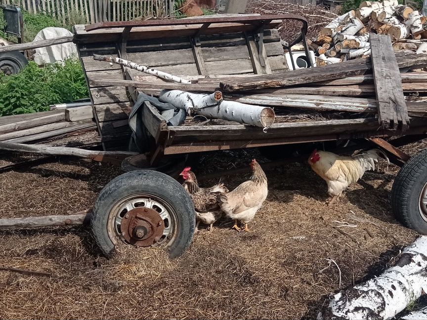 Телега конная и сбруя,седло