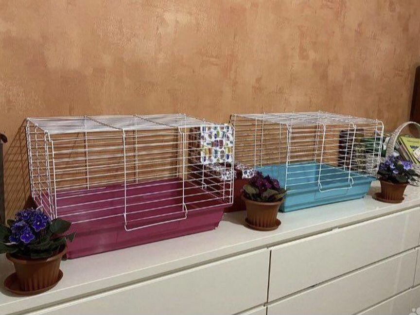 Клетка новая со всем необходимым